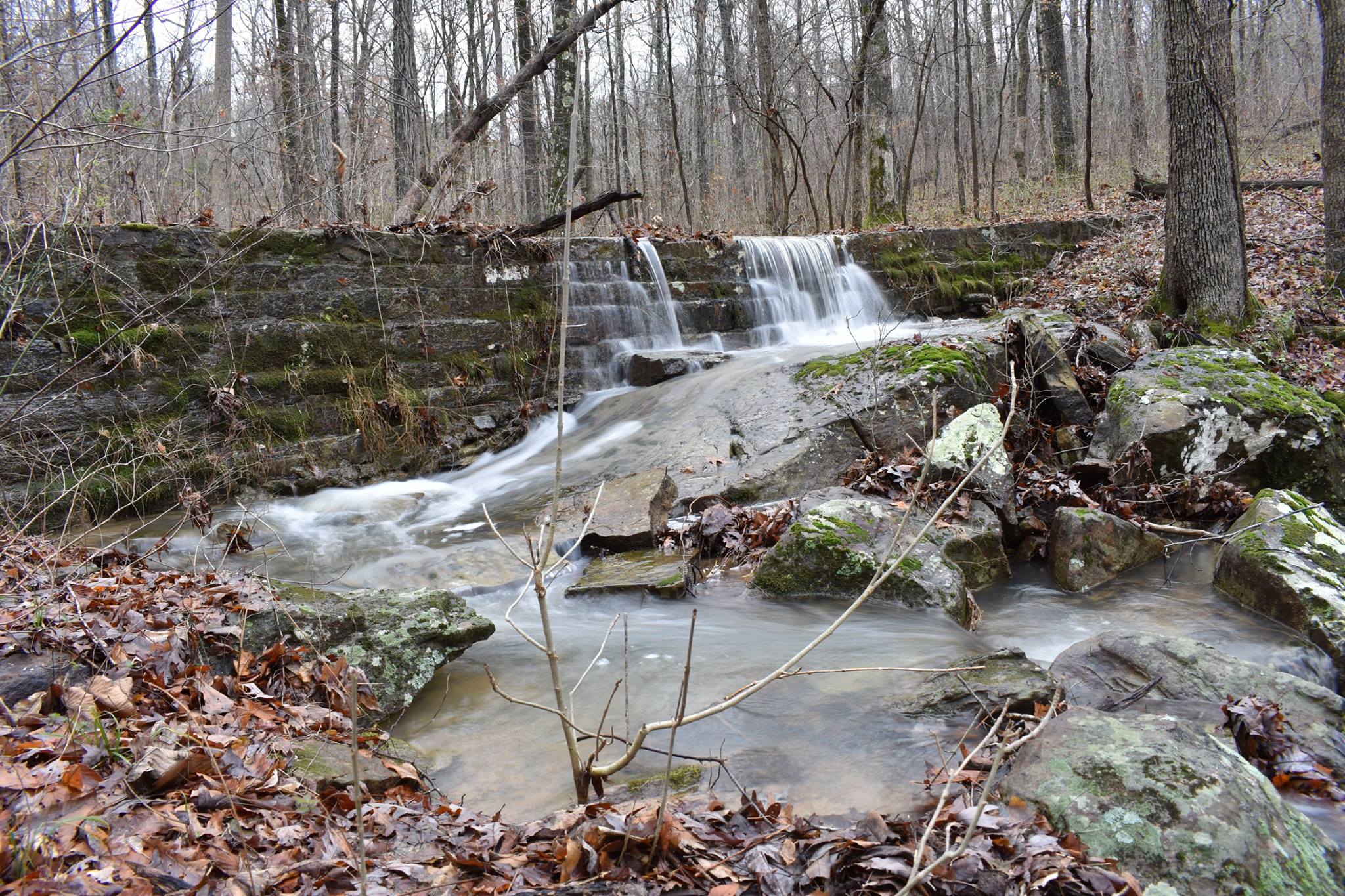 Only in Madisonville-Hopkins County! – Visit Madisonville, Ky – Hopkins ...